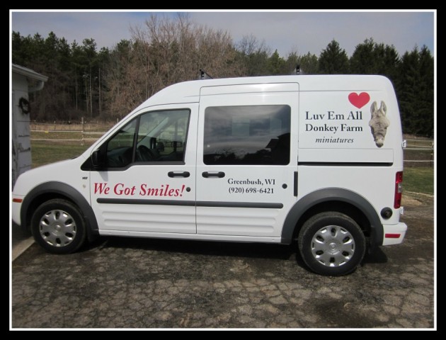 A Day with the Donkeys - Joyful Paws