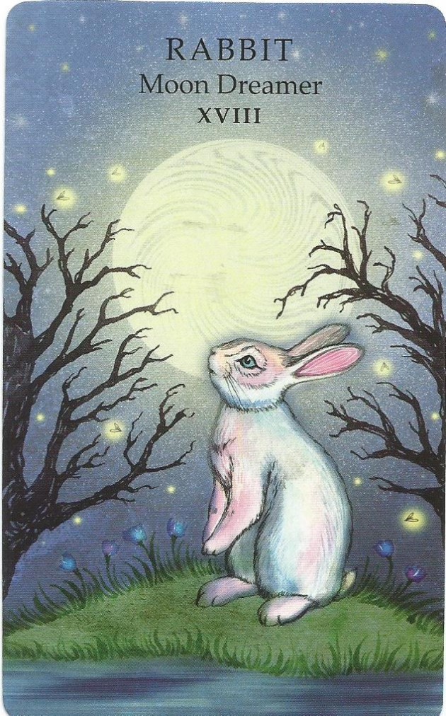 It's the First of the Month: Say Rabbit! Rabbit! - Joyful Paws