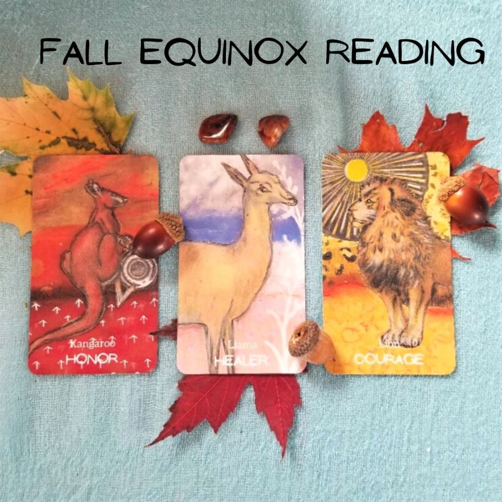 A Reading for the Fall Equinox with My Deck - Animal Reflections ...
