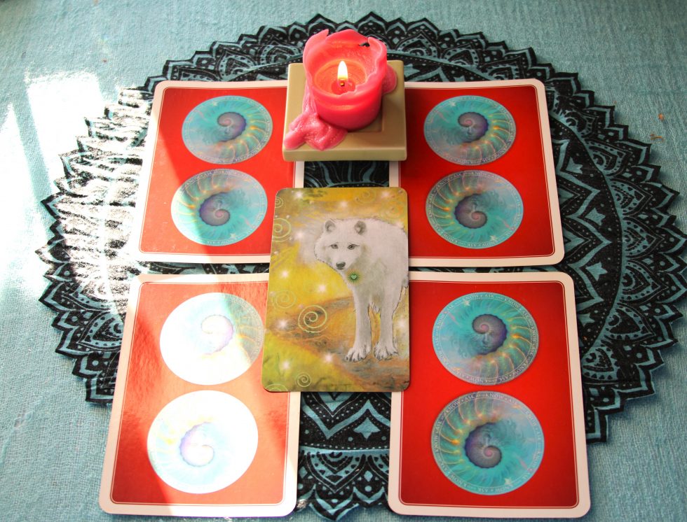 Happy Winter Solstice 2022 – An Oracle and Animal Reading to Welcome in ...