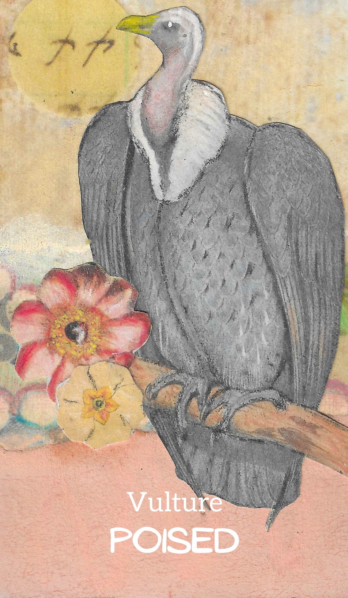 Vulture POISED c - Joyful Paws