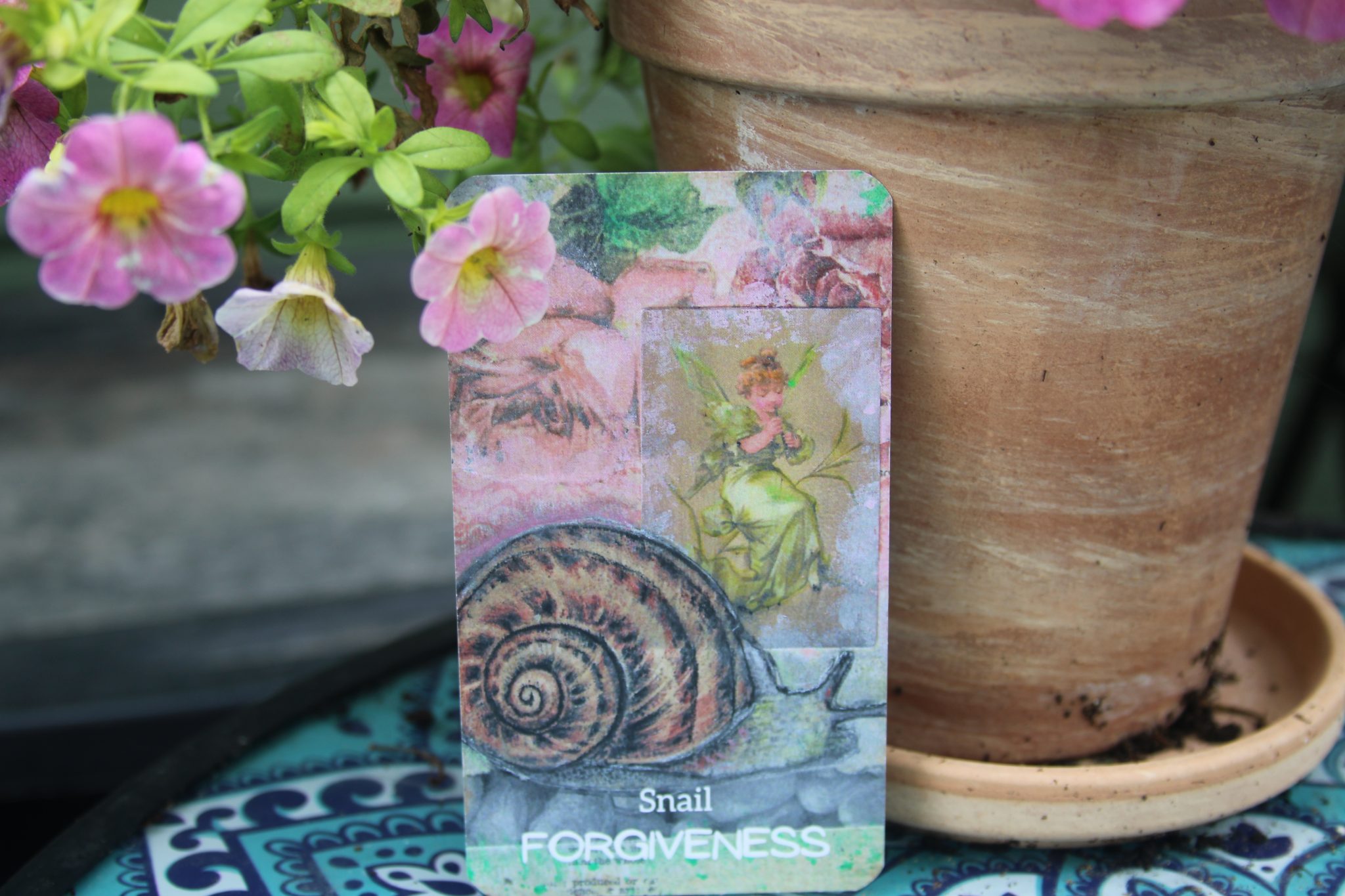 Persistent but Slow and Steady Snail Leaves a Trail of Synchronicity ...