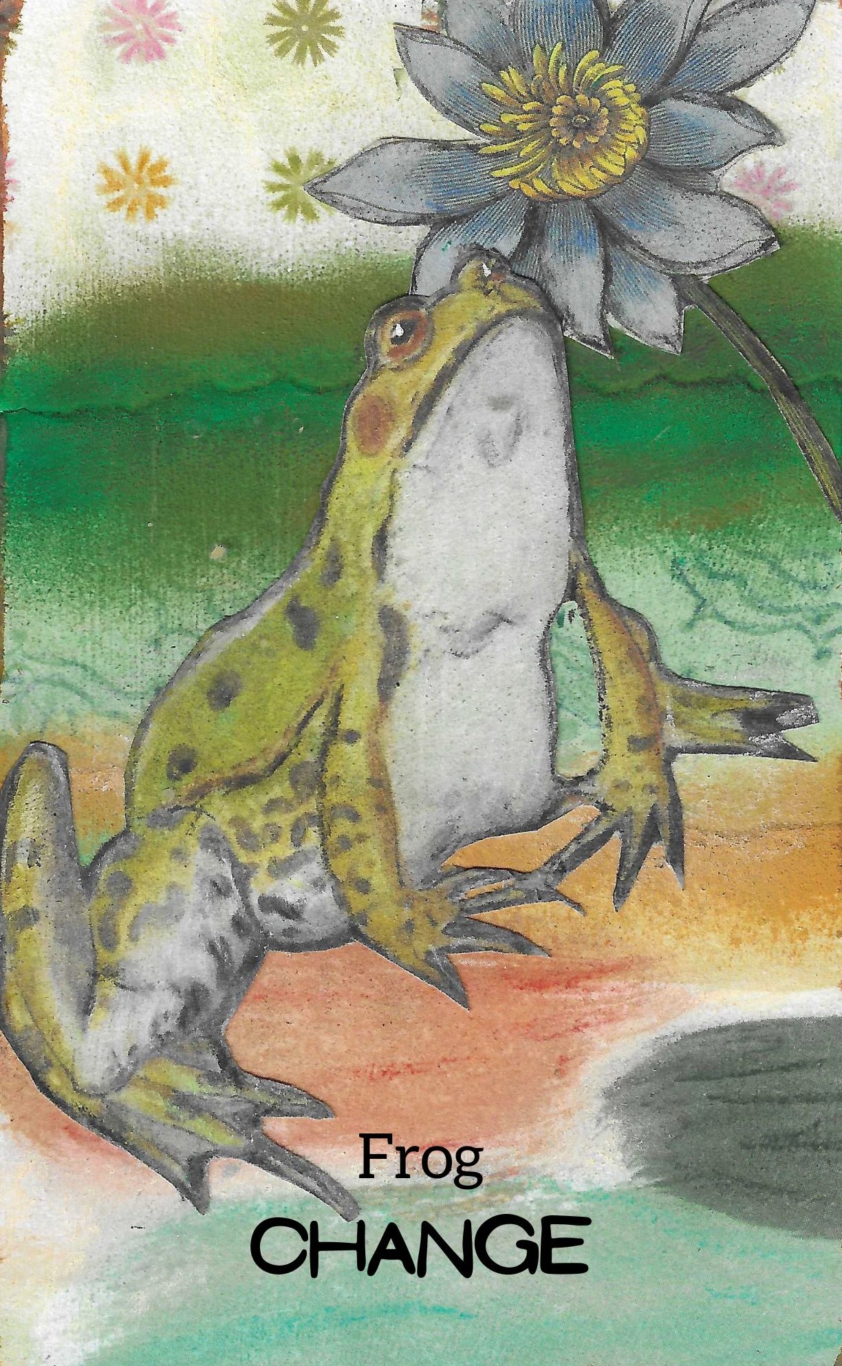 Frog – Joyful Paws