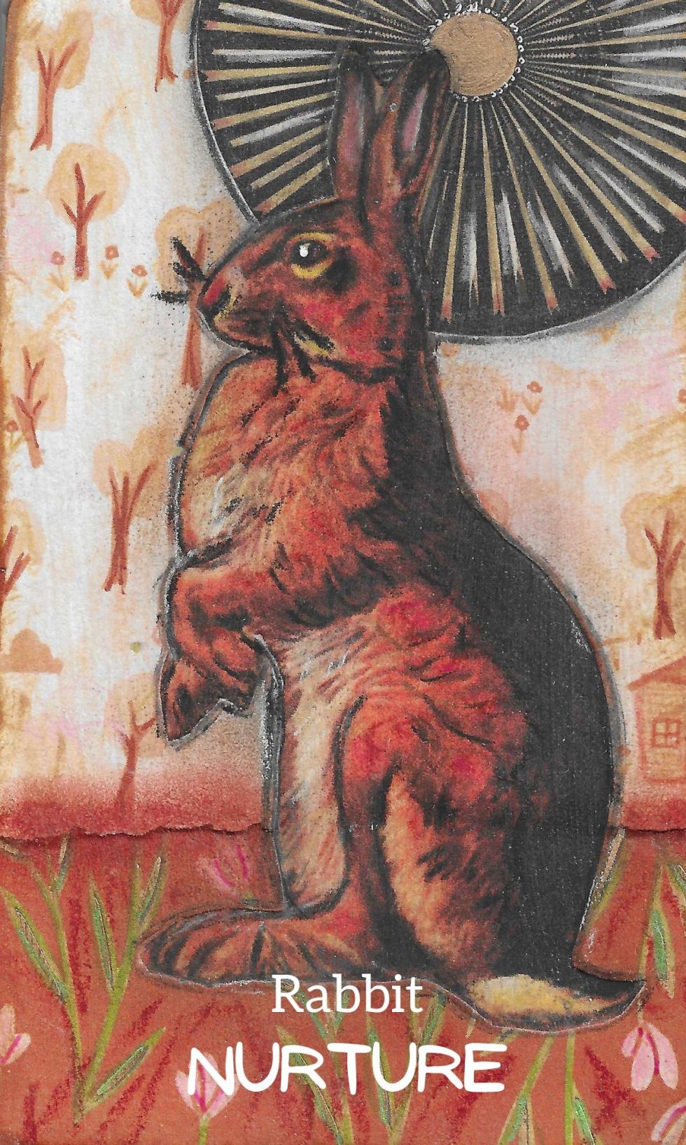 Rabbit – Joyful Paws