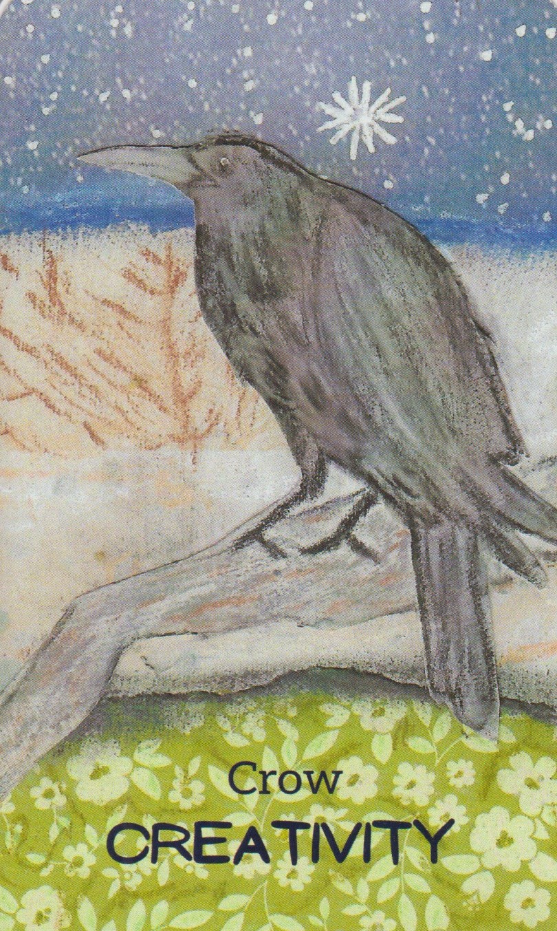 Crow – Joyful Paws