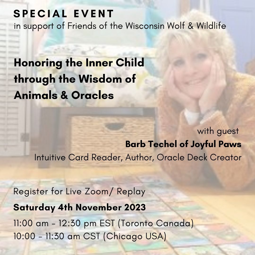 How Animals Helped My Inner Child. Join Me for An Interactive Online ...