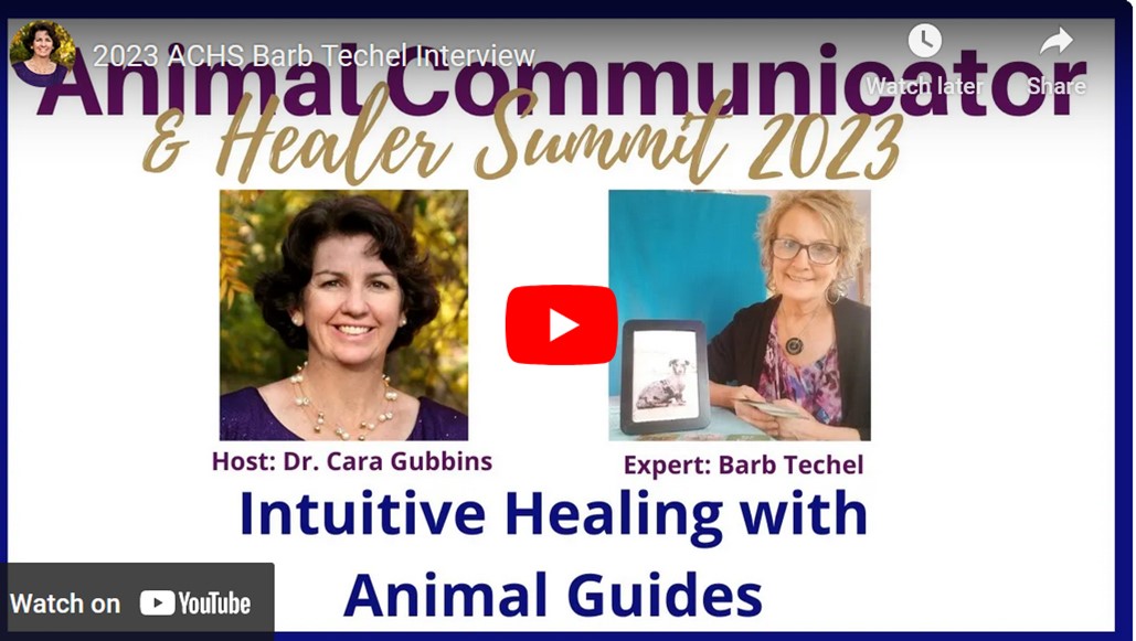 cara interview graphic – Joyful Paws