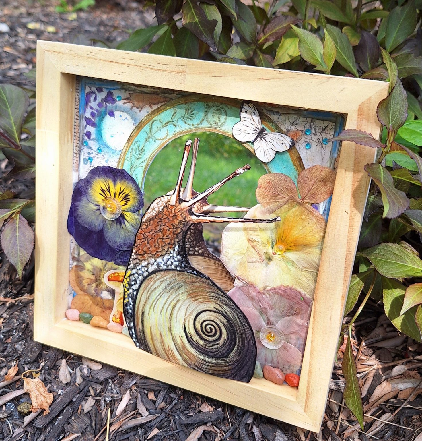 Snail Ready for Her New Home As She Leaves Me with a Poignant Message ...