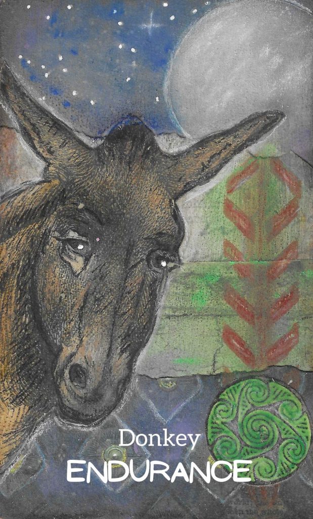 Donkey Wisdom Guidance – Joyful Paws