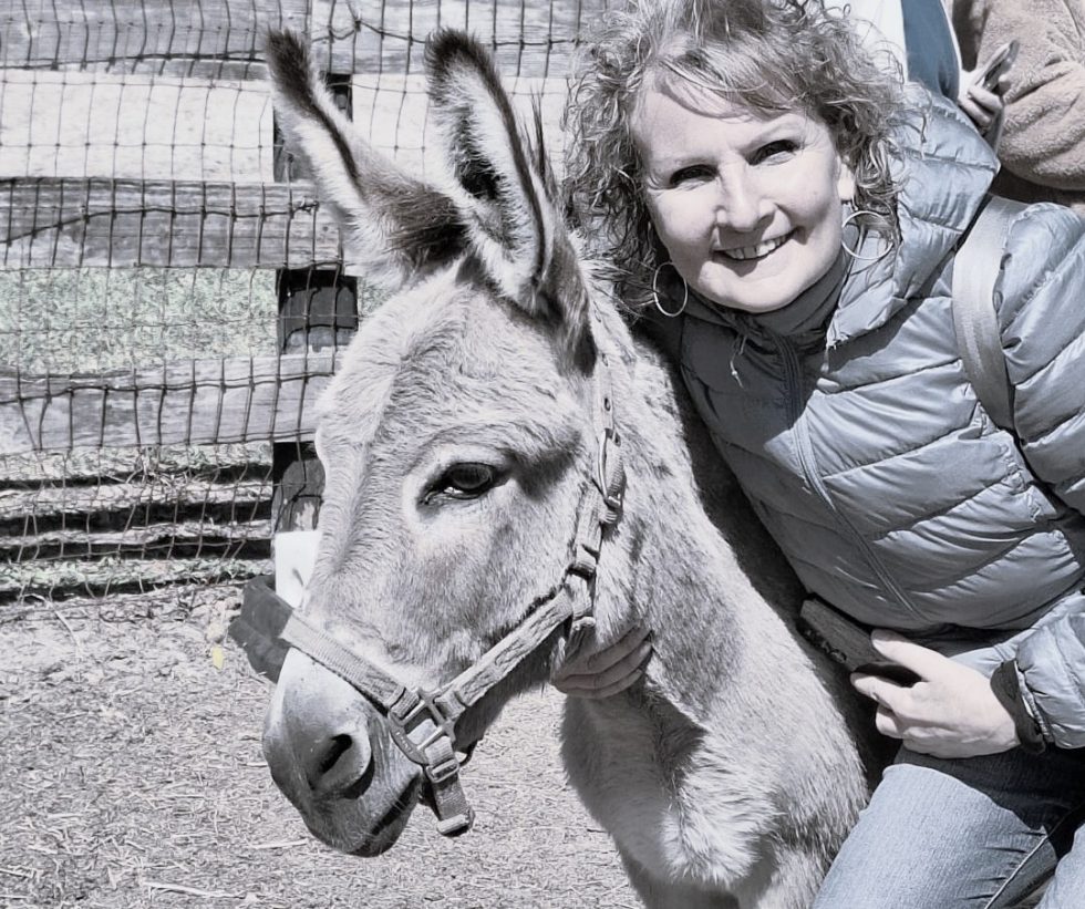 The Donkeys of Gypsy Gold Horse Farm. And my Favorite Heart Bursting ...